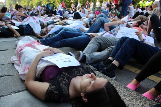 Video & Photos – Dublin ‘die-in’ urges Irish Government to act against ...